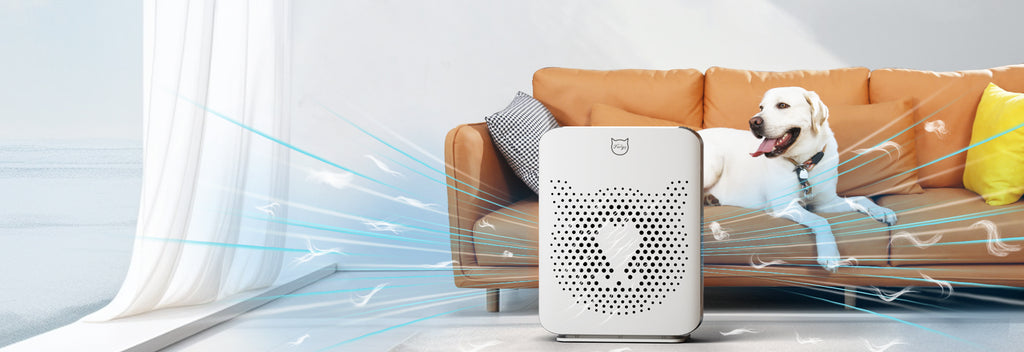 Technology – Furgo